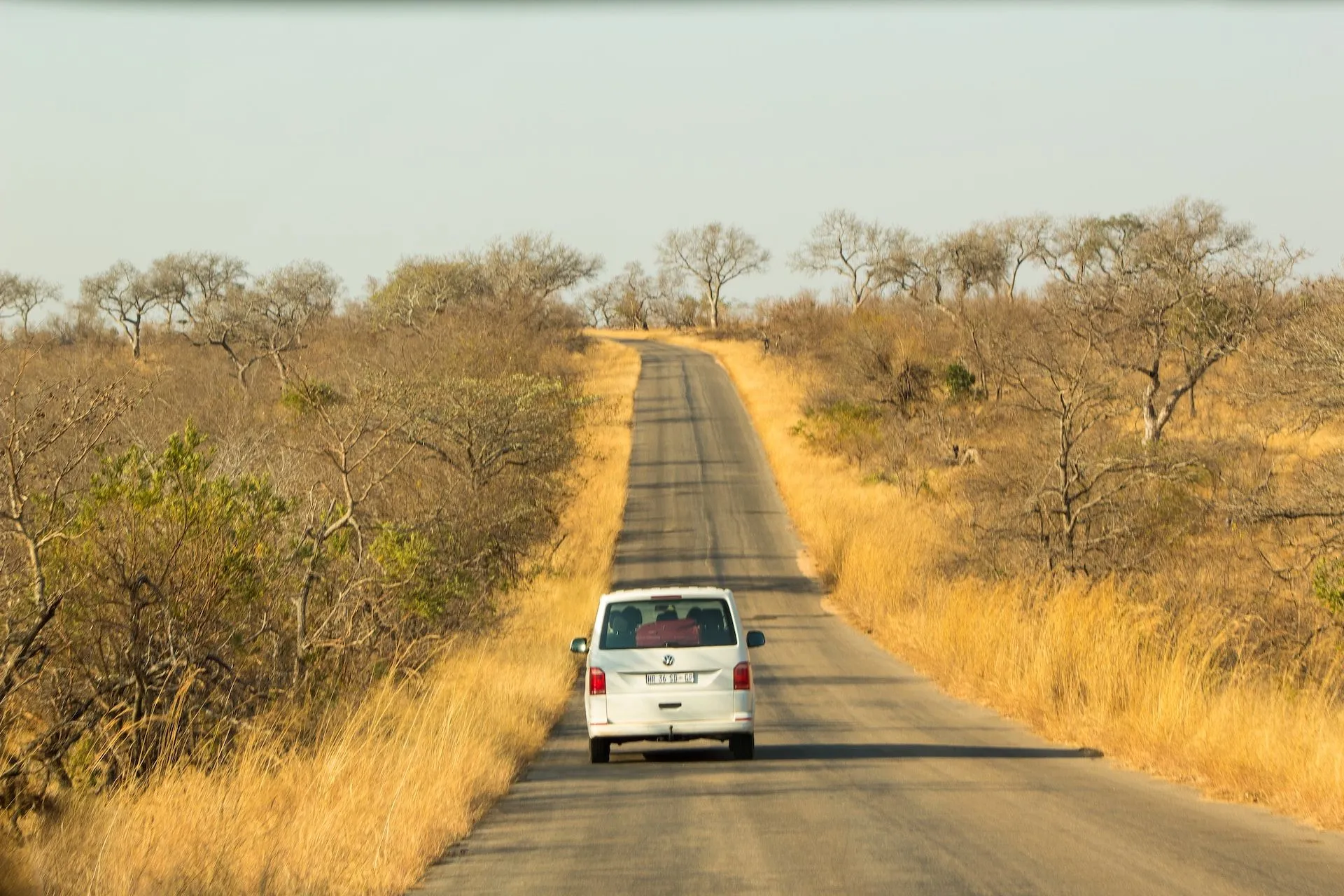 Sabie Game Park Mozambique - Conservation Frontlines