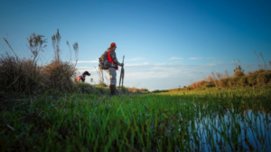 Why Pittman–Robertson Conservation Funding Works